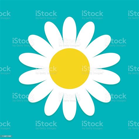 화이트 데이지 카모마일 귀여운 꽃 식물 컬렉션입니다 사랑 카드 카모마일 아이콘 성장 개념입니다 평면 디자인입니다 계절에 대한 스톡 벡터 아트 및 기타 이미지 Istock