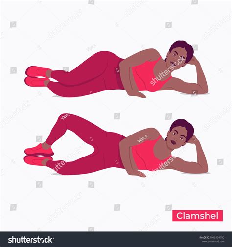 Clamshell Exercise Over 32 Royalty Free Licensable Stock Illustrations And Drawings Shutterstock Clamshell Exercise Over 32 Royalty Free Licensable Stock Illustrations And Drawings Shutterstock