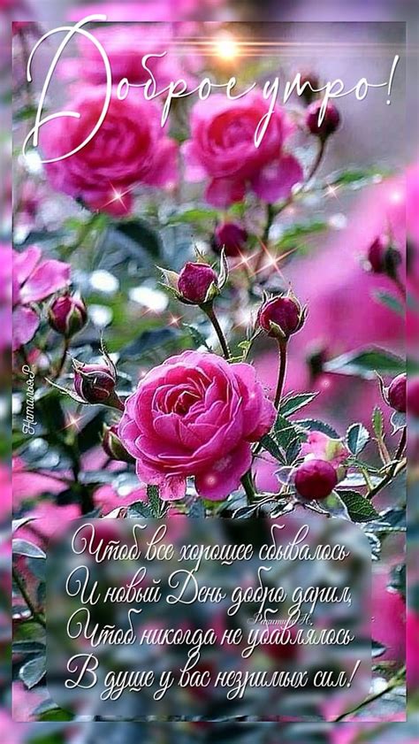 Доброе утро 🌺 Счастливые картинки Доброе утро Праздничные открытки
