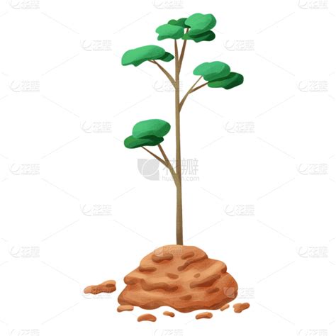 手绘风 植物贴纸 树苗