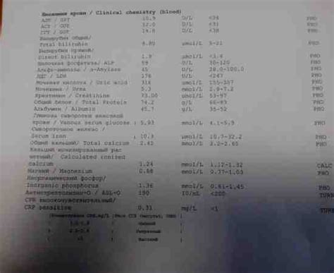 СРБ в крові що це таке в біохімічному аналізі