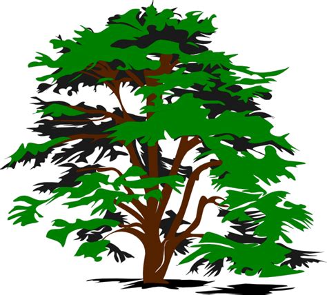 Simple Tree Clip Art At Clker Com Vector Clip Art Online Royalty Free Public Domain