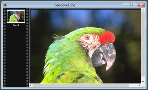 Créer Une Forme Médiaforma