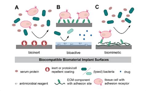 Material Related Properties Guiding The Interactions Of Proteins Download Scientific Diagram