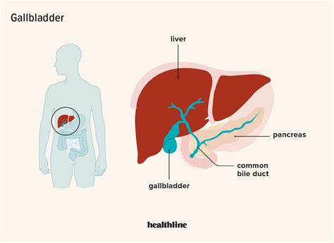 Gall Bladder Stone Symptoms