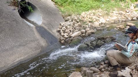 Targeted Bacteria Monitoring Project University Of Houston Clear Lake