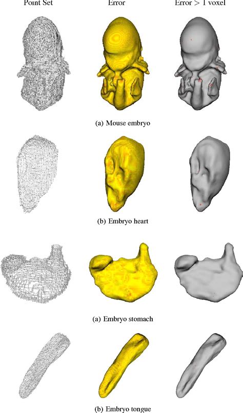 Figure 6 From Contour Based Surface Reconstruction Using Mpu Implicit