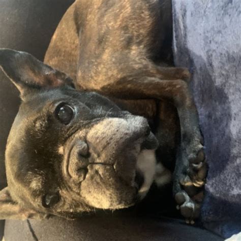 Sofia Olivera University Of Illinois Urbana Champaign Il Uiuc