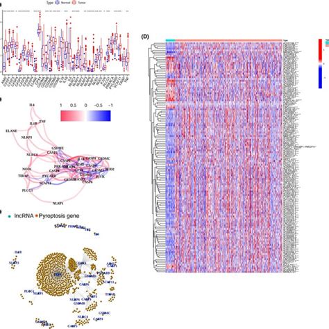 Identification Of The Pyroptosis‐related Lncrnas A Comparison Of Download Scientific Diagram