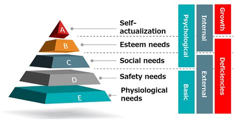 What Is Maslows Hierarchy Of Needs 5A Loyalty Suite