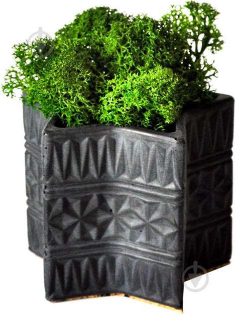 ᐉ Кашпо декоративне Star темно сірий бетон • Краща ціна в Києві Україні • Купити в Епіцентр