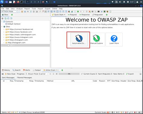 perform vulnerability scan using owasp zap with setup