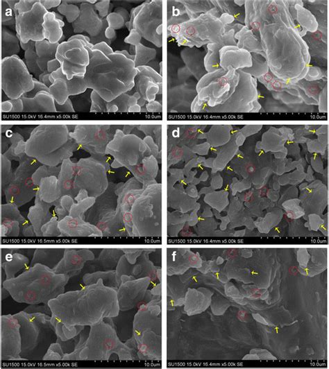 Sem Pictures Of Molten Salt And Nanofluids With Different Particle