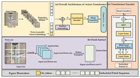 The Original Vision Transformer Architecture Download Scientific Diagram