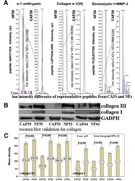 Validation Of Protein Expression Differences A The Ion Intensity Download Scientific Diagram
