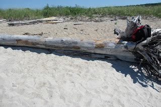 Reluctant Rebel Connecticut S Well Kept Secret Beach