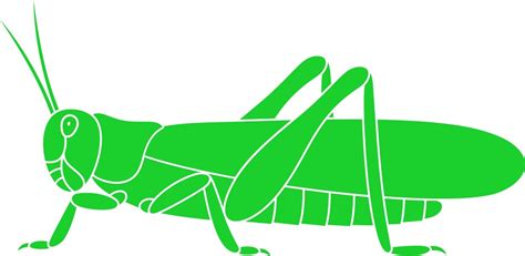 Grasshopper Vector Images Over 5 000