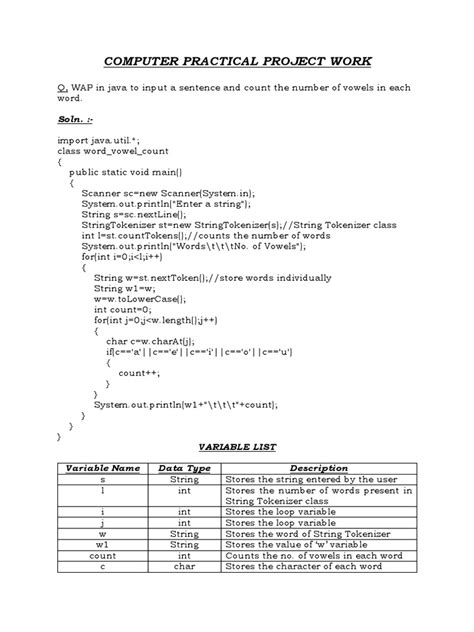 Computer Practical Project Work Pdf String Computer Science