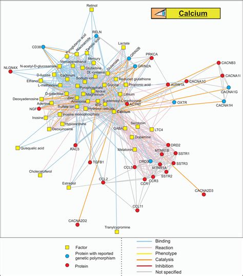 ca 2 subnetwork analysis landscape of interactions of ca 2