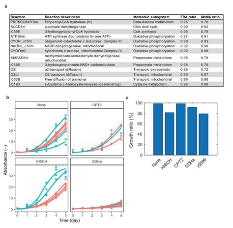 Genetic Interactions With Mmut A Single Reaction Deletion In Silico