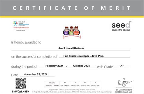 Fullstackdeveloper Webdevelopment Newskills Learningjourney Amol