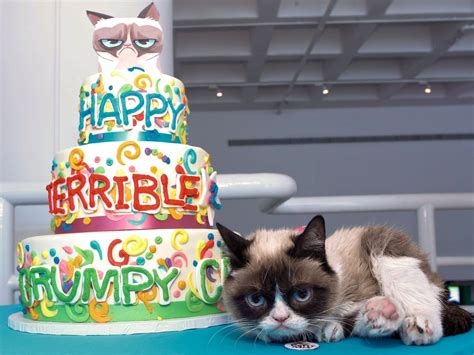 Grumpy Cat Birthday Cake Meme