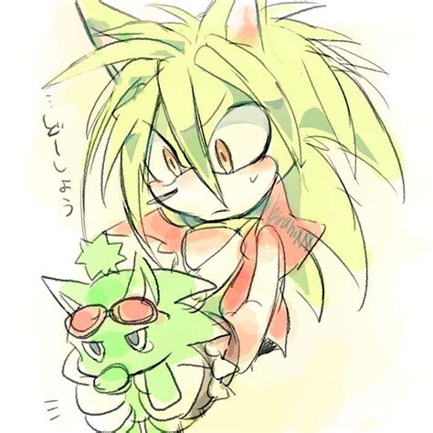 78 Ideas De Manourge Erizos Sonic Fotos Sonic