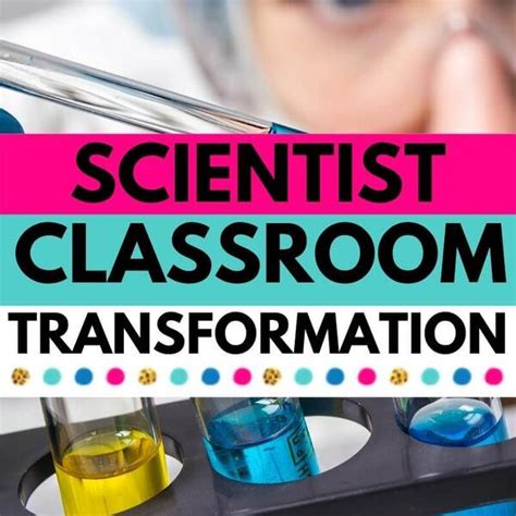Scientist Classroom Transformation The Lifetime Learner