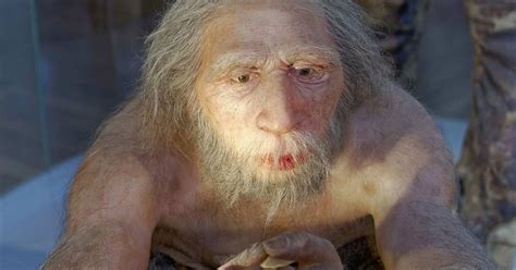 300 000 Year Old Skull Of ‘maba Continues To Puzzle Scientists As It Does Not Match Any Human