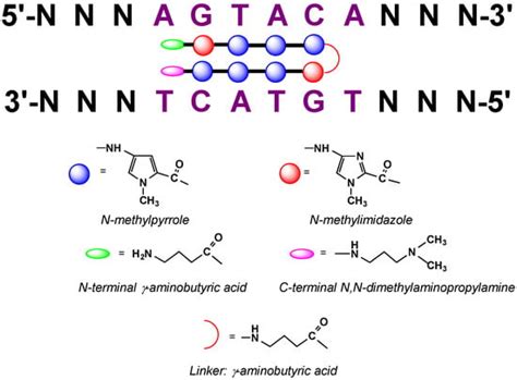 Molecules Special Issue Synthesis Of Nucleosides Nucleotides And Their Derivatives