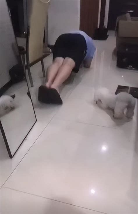國服最強卡特春心萌動，彩旗查房女主播太羞澀，水友主動幫助提親 每日頭條