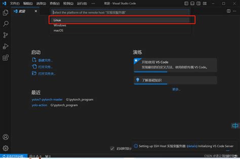 连接到服务器后如何在vscode中运行python代码 Vscode怎么连接服务器mob64ca1417736e的技术博客51cto博客