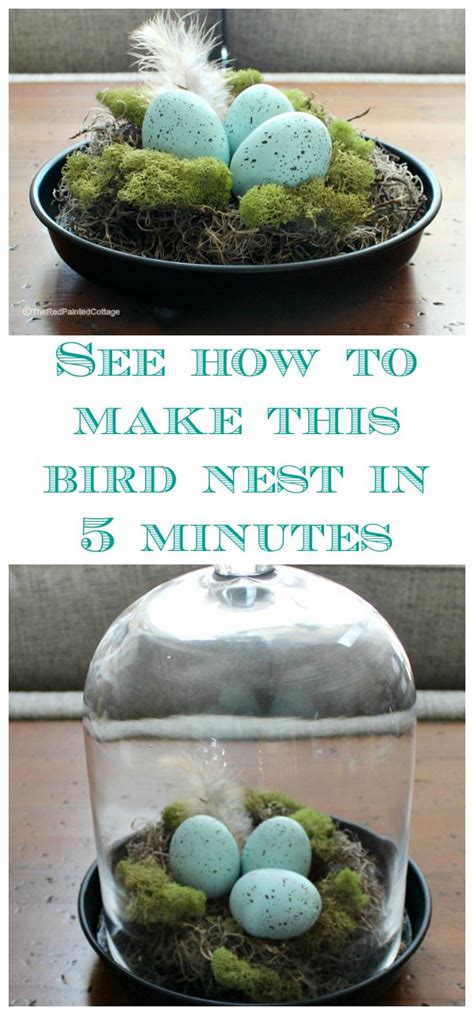 See How To Make An Easy Bird Nest In Five Minutes The Red Painted Cottage