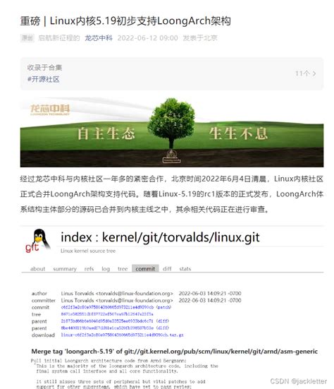 cpu编程中的CPU架构知识指令集x armrisc vloongarc 指令集架构有哪些 CSDN博客