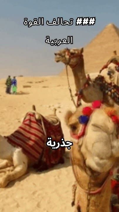 هل تسألت يوماً ماذا لو اتحدت الجيوش العربية الجيش العربية Youtube