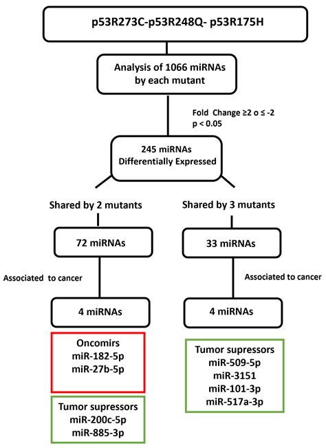 Mutant P53 Gain Of Function Induces Migration And Invasion Through Overexpression Of Mir 182 5p