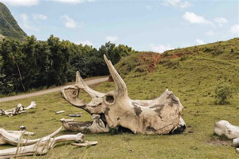 Jurassic Park Hawaii A Guide To Visiting Kualoa Ranch — Ckanani