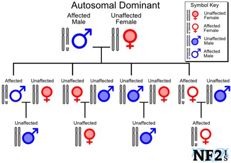 Genetics