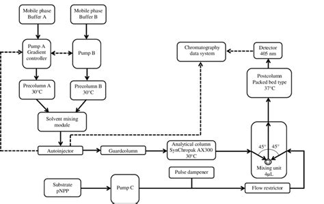 Schematic Diagram Of The HPLC Assay For Separation And Quantification Download Scientific