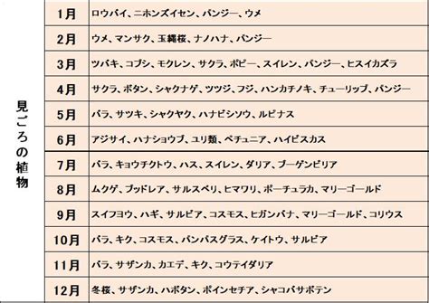 見ごろの花 年間スケジュール 開花情報 神奈川県立大船フラワーセンター