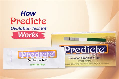HOW PREDICTE OVULATION TEST KIT WORKS Carrot Top Drug