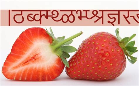 Arjun Font