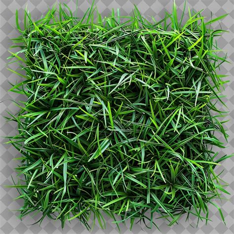 Page 5 Grass Textures Detail Psd High Quality Free Psd Templates For