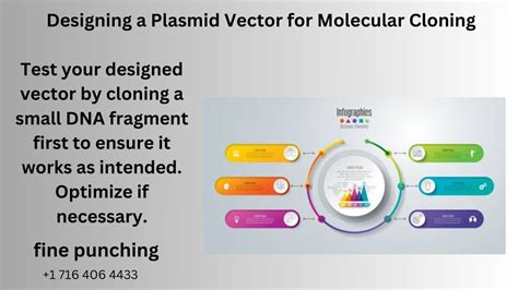 Fine Punching On Linkedin Designing A Plasmid Vector For Molecular Cloning