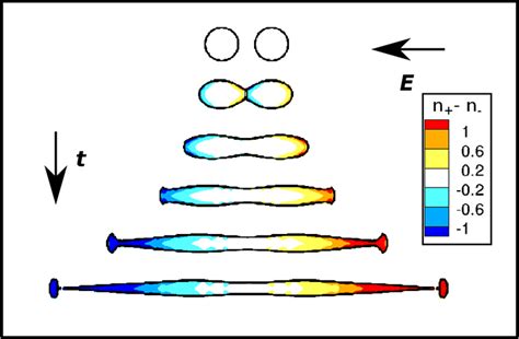 Binary Drop Coalescence For Oh 2 10 And K D 5 With Overlaid Charge Download Scientific