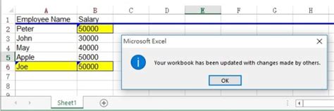 Excel Share Workbook 06 Access Excel Tips