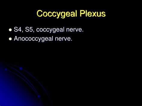 Ppt Pelvic Blood Supply Powerpoint Presentation Id161385 Ppt Pelvic Blood Supply Powerpoint Presentation Id161385