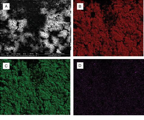 Figure 1 From Rational Design Of Pd Tio2 G C3n4 Heterojunction With Enhanced Photocatalytic