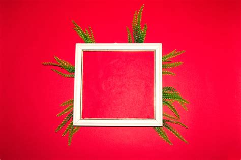 빨간 복사 공간이있는 오래된 복고풍 프레임 정글 잎이있는 빨간 벽지 현대 여름 파티 로맨스 벽지 0명에 대한 스톡 사진 및 기타 이미지 Istock