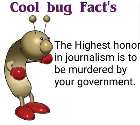 Cool Bug Facts Scrolller